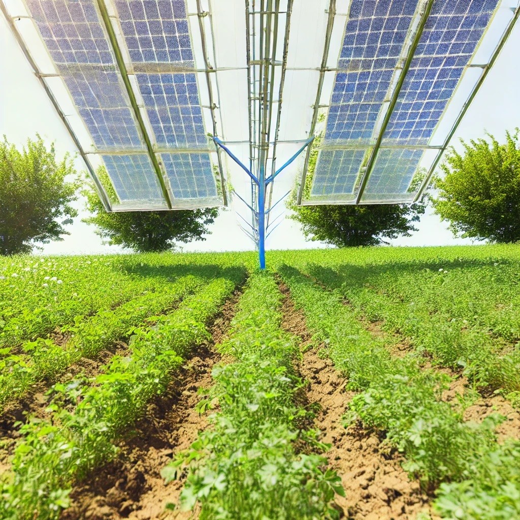 Debunking Myths and Unlocking the Power of Agrivoltaics